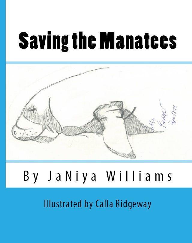 Saving the Manatees & Odyssey | Meredith Etc