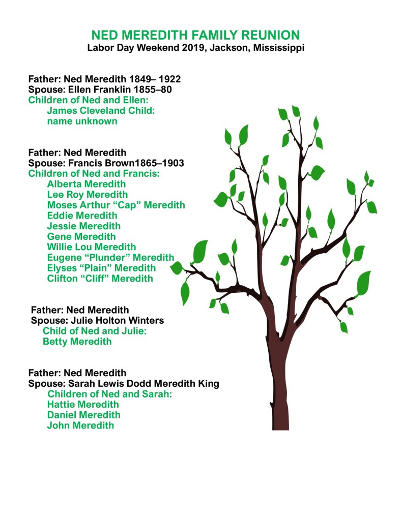 Ned Meredith Family Reunion | Meredith Etc